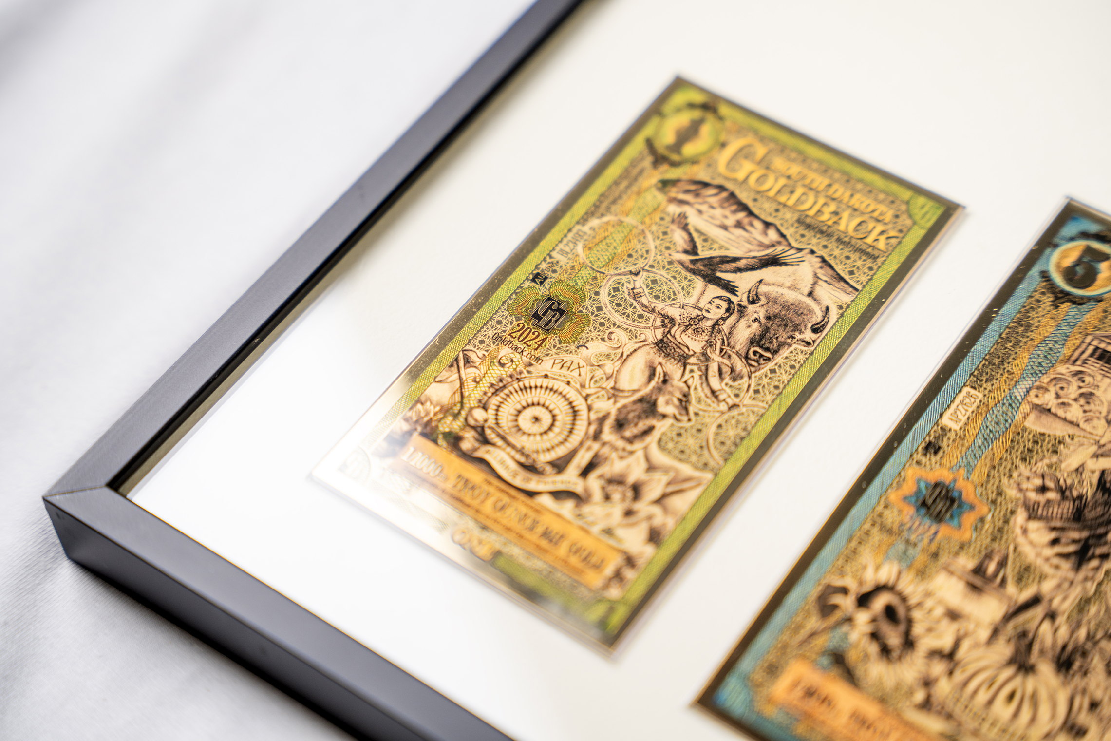 South Dakota Goldback Legacy Wall Display - Peach State Metals